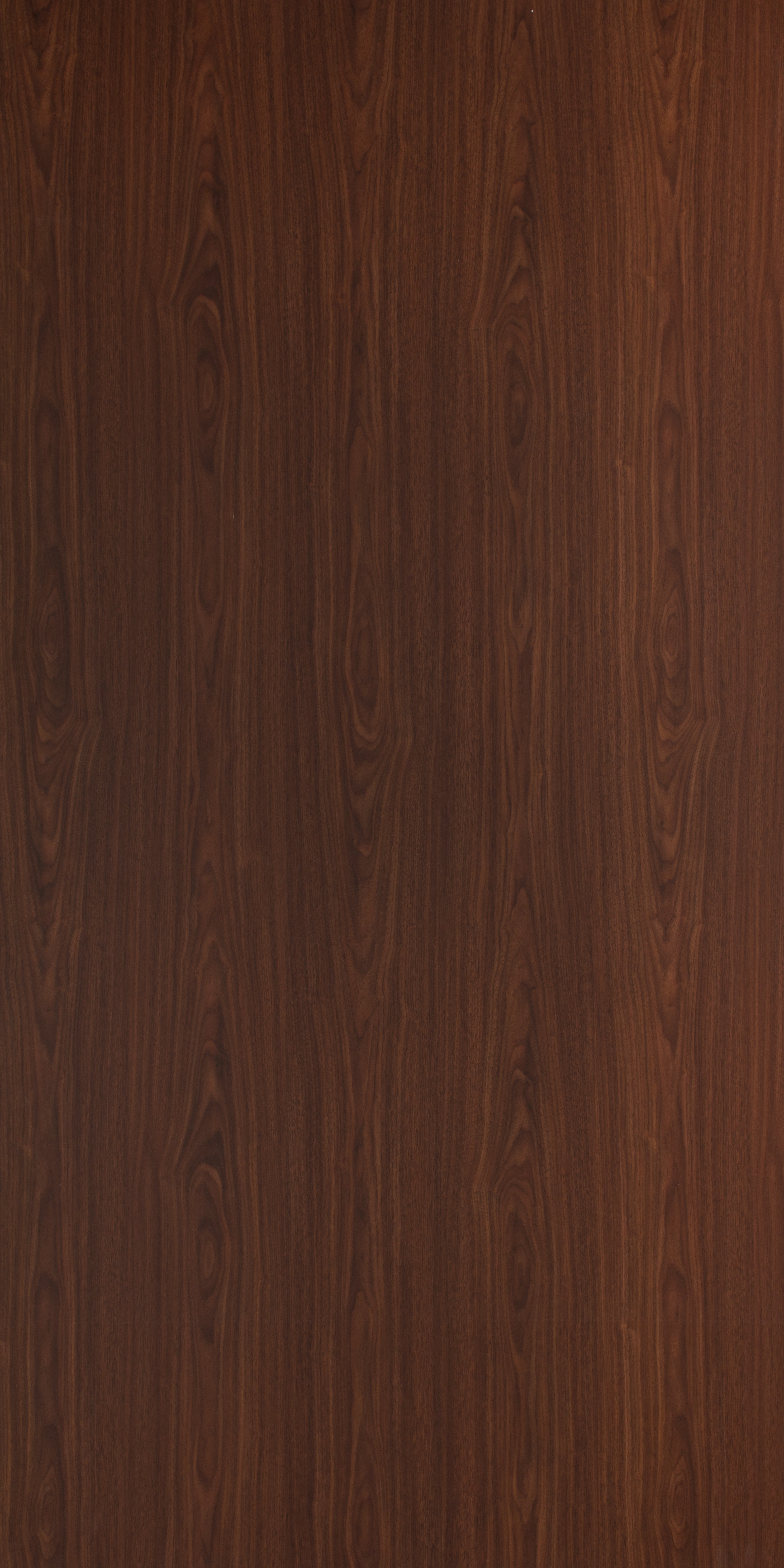 Smoked Oak – Splendor Laminates
