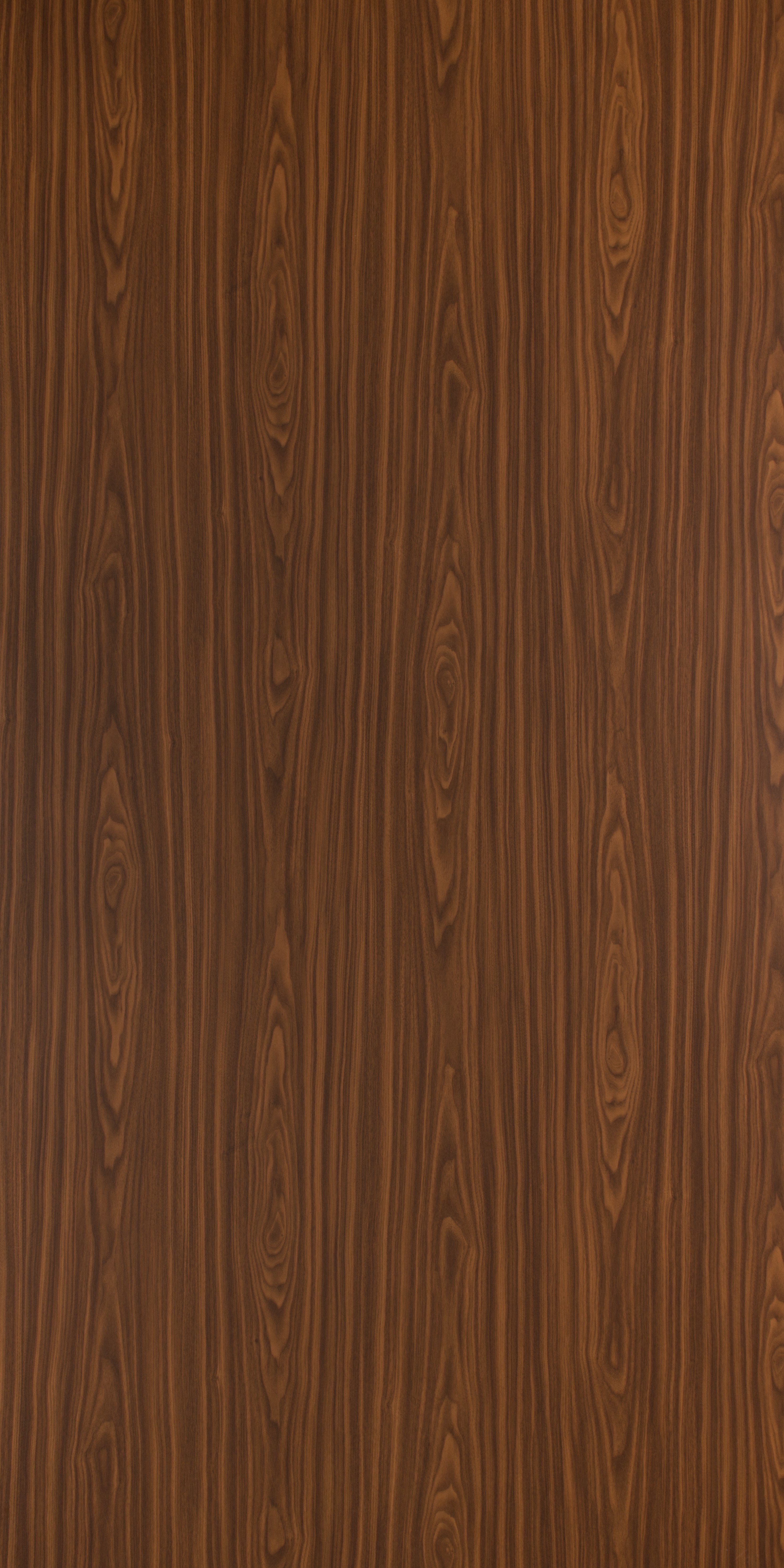 Walnut Crown – Splendor Laminates
