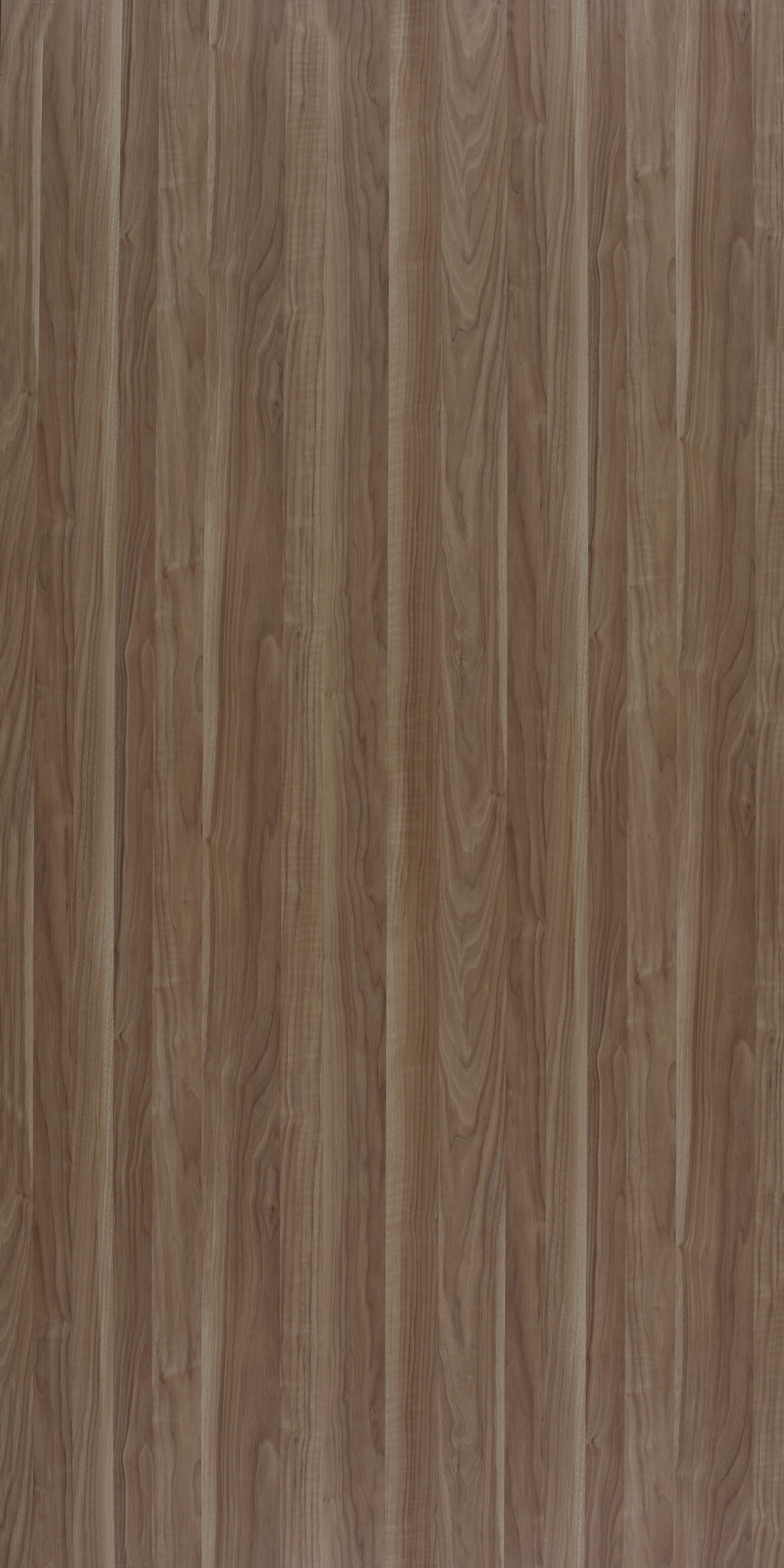 Vivid Wood – Splendor Laminates