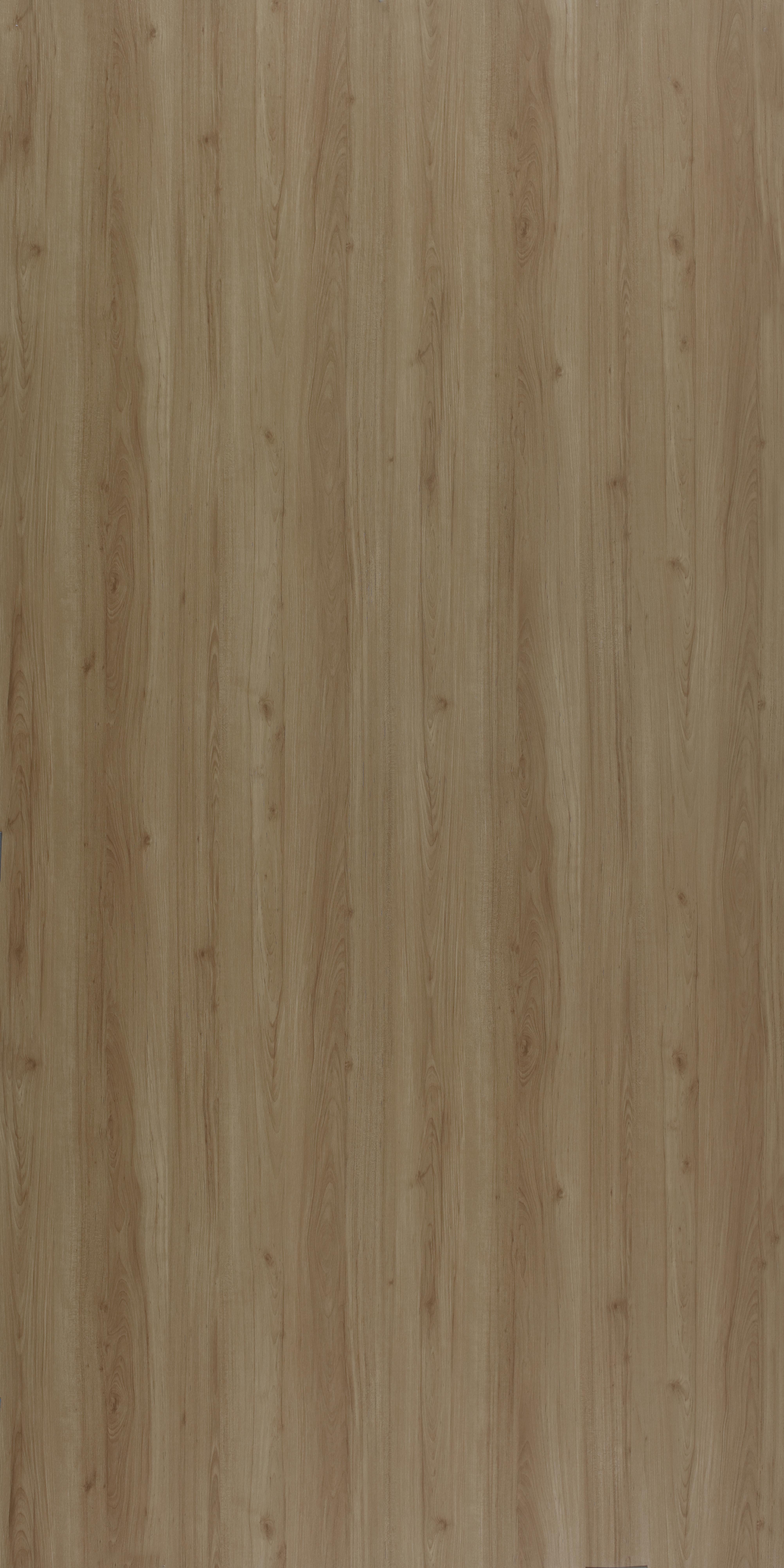 Sunny Oak – Splendor Laminates